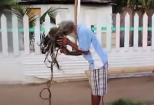 Giamaica, scioglie i rasta per strada dopo 40 anni - Video - Perizona ...